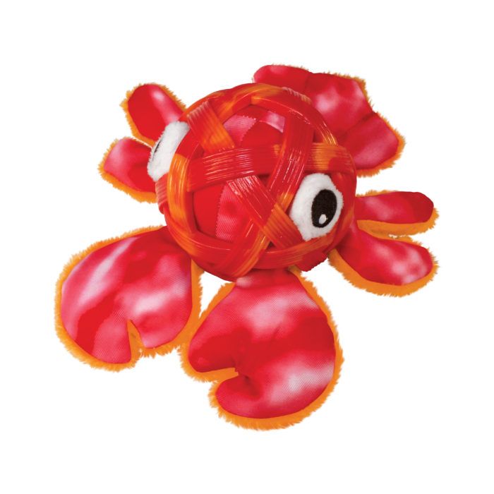 kong-sea-shells-lobster - ג'ונגל - רשת חנויות מחמד